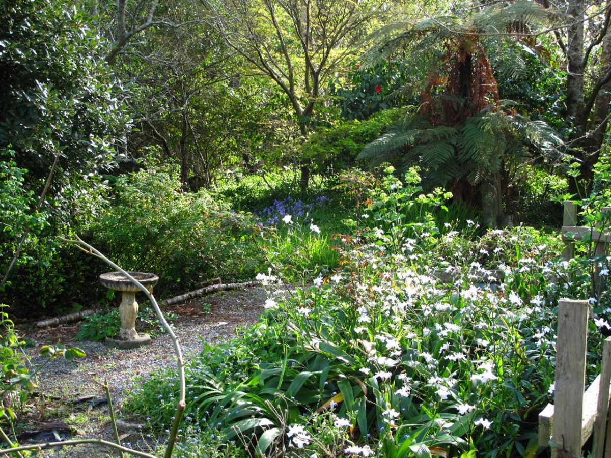 Spring: Talking about writing The Blood of the Lamb trilogy – Mandy Hager